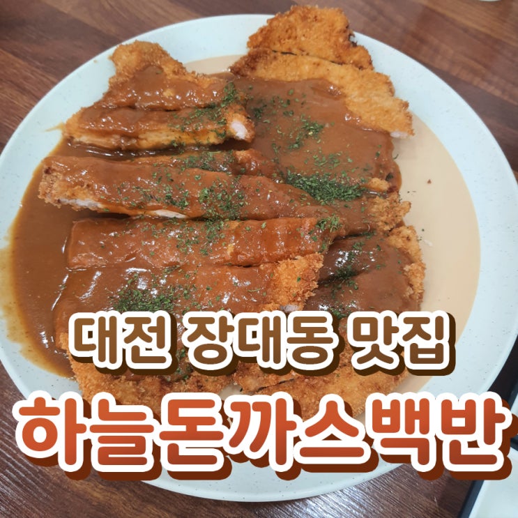 대전 장대동 맛집 충남대 맛집 하늘돈까스 백반 2번 방문 후기 네이버 블로그