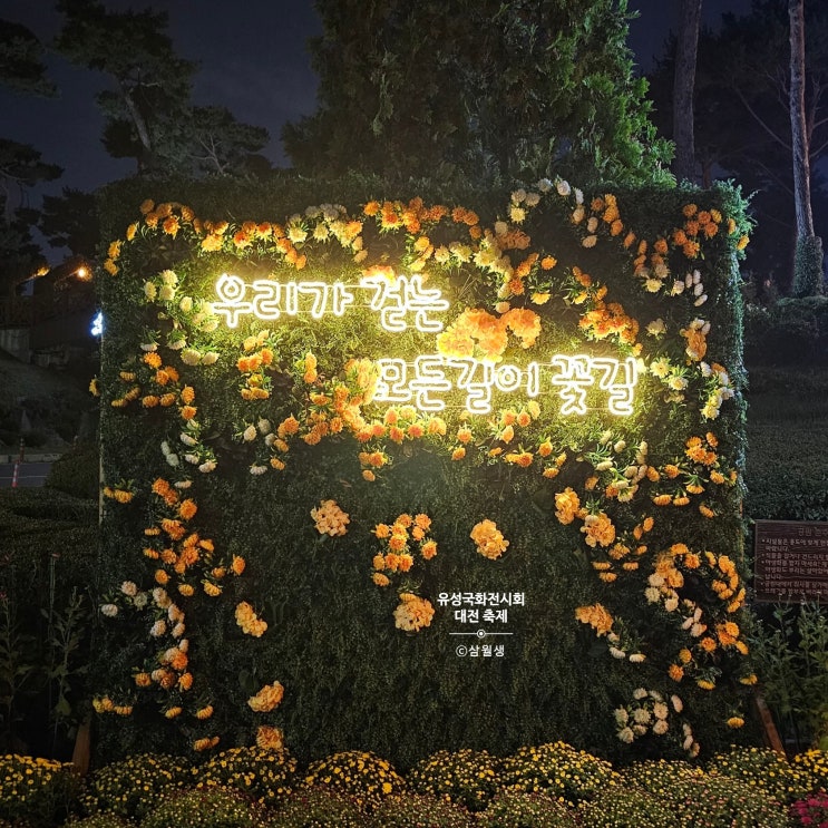 2023년 10월 대전 유성 국화 전시회 유림공원 축제 네이버 블로그