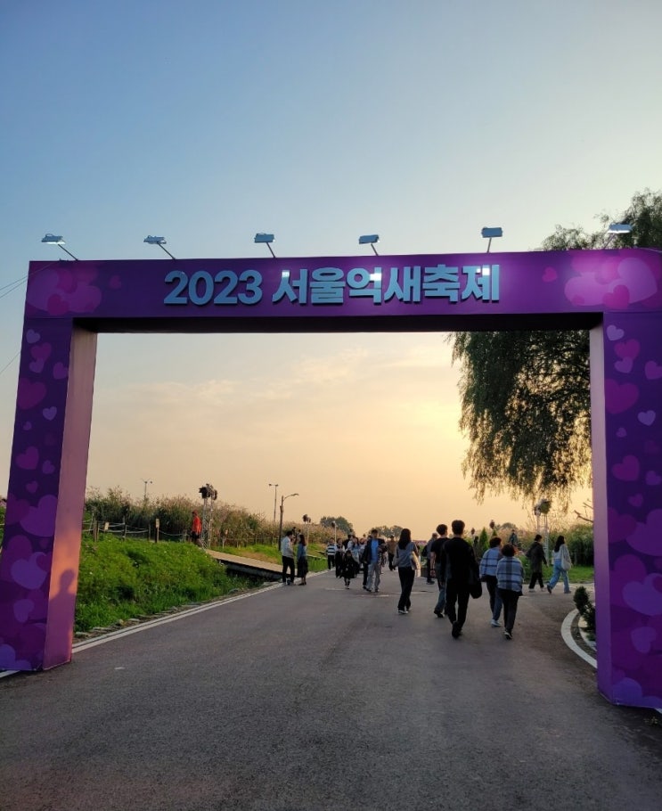 상암 하늘공원 억새축제주차요금 가장 가까운 주차장 무료 공연 어린이무료만들기체험 맹꽁이열차 가격 등 네이버 블로그