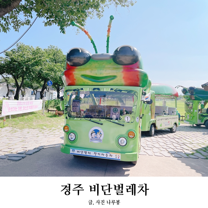 경주 비단벌레차 예약 요금 코스 및 첨성대 방문해바라기 네이버 블로그