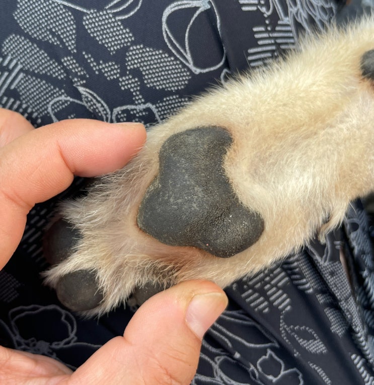 9to6 : 네이버 블로그