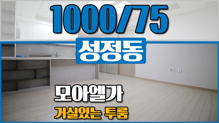 천안 성정동 도시형 투룸 모아엘가 E타입 월세 네이버 블로그