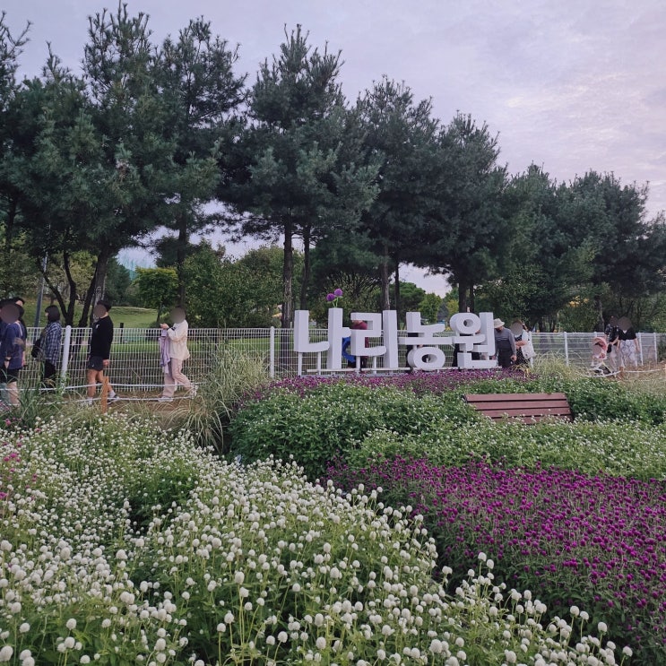 경기도 양주 나리공원 꽃축제 예약 및 입장료 나리농원 주차 네이버 블로그