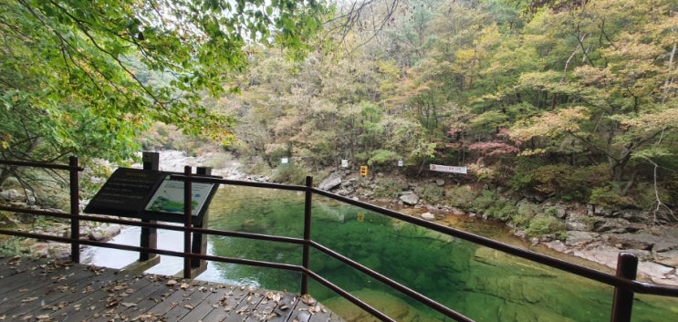 지리산 뱀사골 신선길 : 네이버 블로그