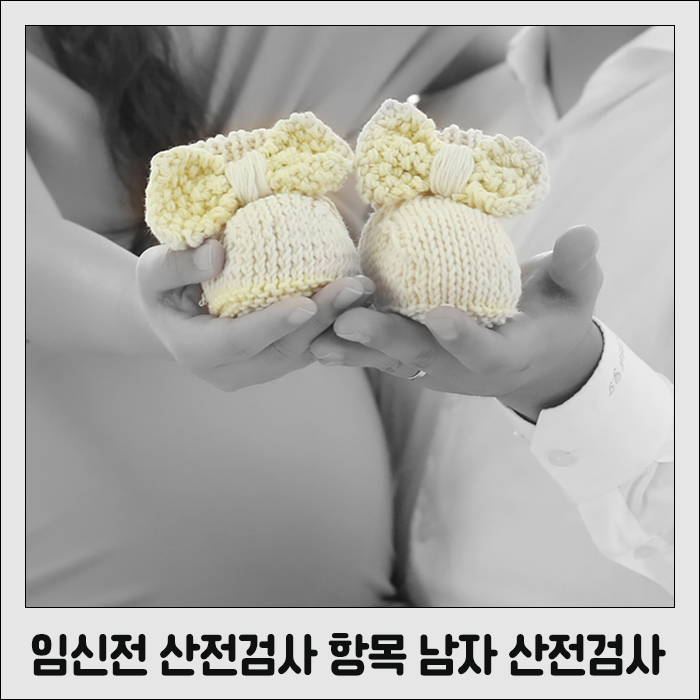 임신전 산전검사 시기 항목 남자 산전검사 보건소 비용 네이버 블로그