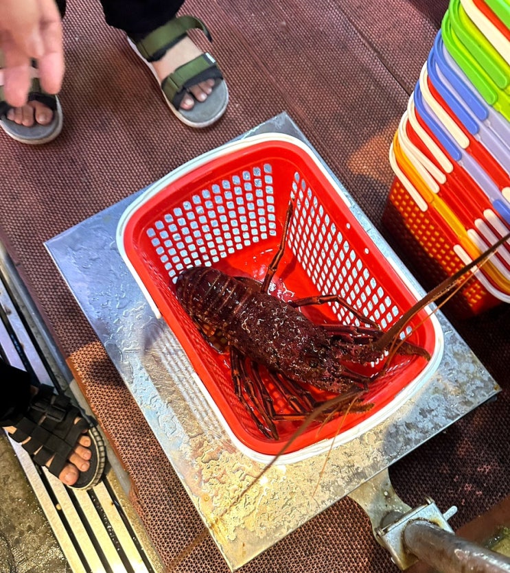 다낭 목식당 메뉴 ,예약방법, 위치,가격 할인 꿀팁 - 다낭 랍스터 맛집 추천 : 네이버 블로그