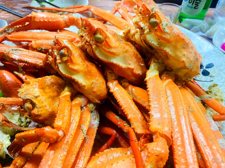 속초초가성비무한리필 승진호 홍게 무한리필 내돈내산 후기 네이버 블로그