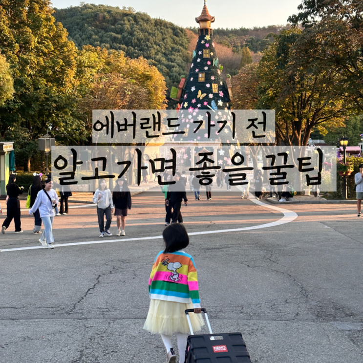 아이랑 에버랜드 짐 보관 폴딩 카트 스마트 줄 서기 꿀팁 주차 준비물 등 네이버 블로그