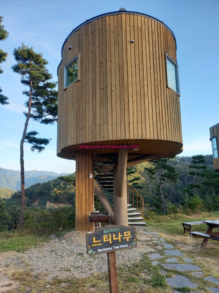 무주 향로산 자연휴양림 숲속나무집트리하우스 느티나무 숙박 후기 네이버 블로그