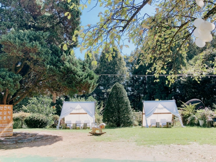 [안성] 풍사니랑 & 안성팜랜드 : 네이버 블로그