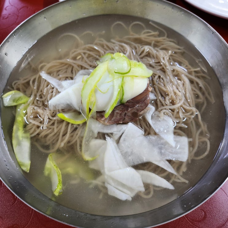 대전맛집 진남포면옥 평냉 초보자도 반해버린 송강동 평양냉면 맛집feat내돈내산 네이버 블로그