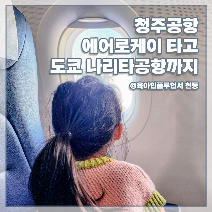 청주공항 에어로케이 도쿄 나리타공항에서 디즈니랜드 리무진 버스 3터미널 네이버 블로그