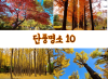 국내여행지베스트10 서울 수도권 가볼만한곳 가을 10월 11월 단풍구경 단풍명소 추천 네이버 블로그
