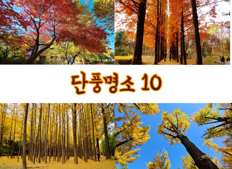 국내여행지베스트10 서울 수도권 가볼만한곳 가을 10월 11월 단풍구경 단풍명소 추천 네이버 블로그