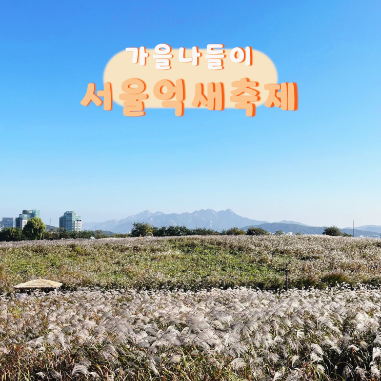 서울 억새축제 상암 하늘공원 주차장 코스 꿀팁 네이버 블로그