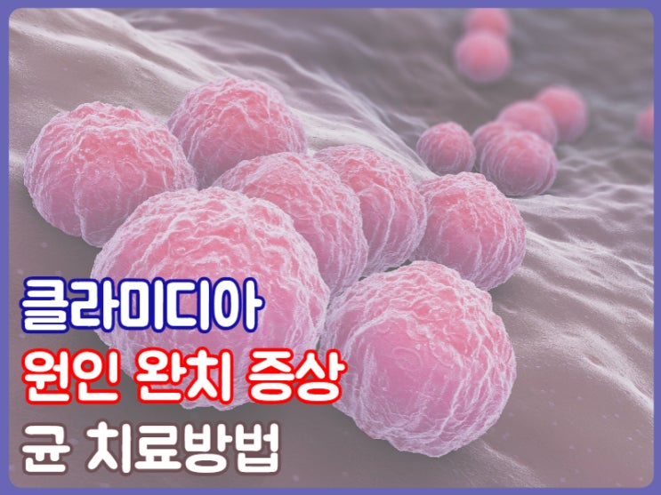 클라마디아 원인 완치 남자 클라미디아 증상전염 항생균 치료방법 네이버 블로그