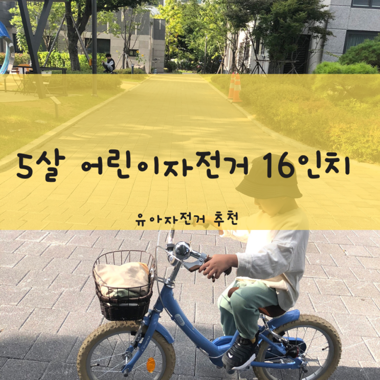 4살 5살 유아자전거 추천 16인치 18인치 삼천리 딩고 자전거 내돈내산 네이버 블로그