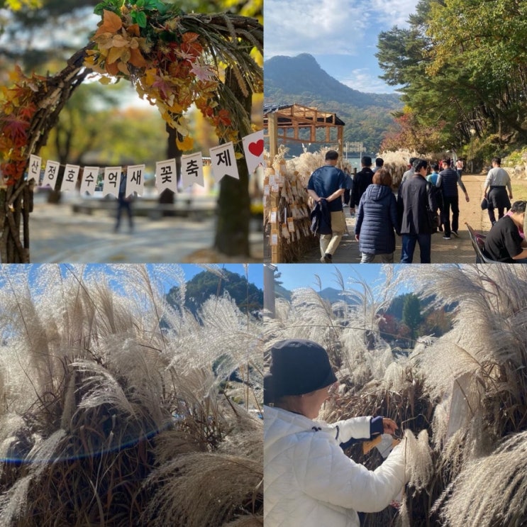 명성산 억새축제 포천 산정호수 명성산 억새꽃 축제 기본정보 주차 볼거리 네이버 블로그