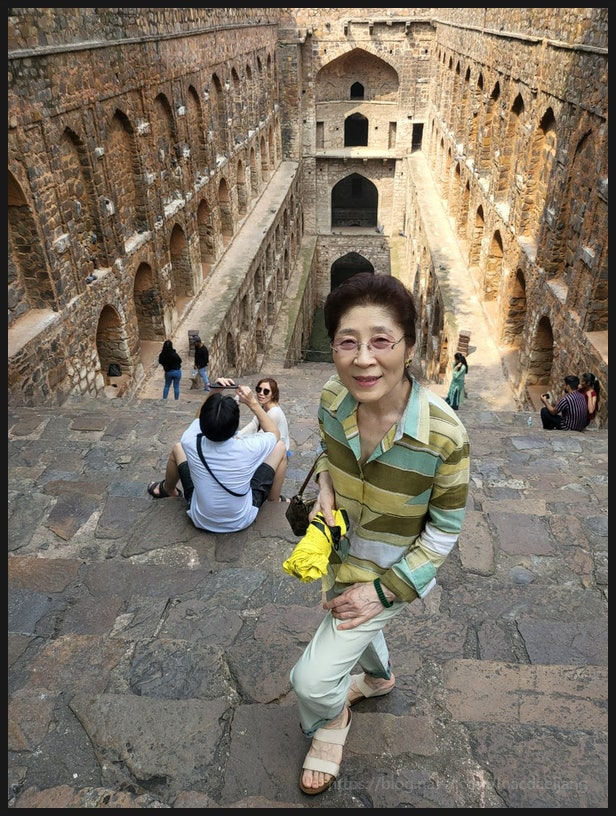 인도여행 4일차 델리 나들이 로디가든 인디아게이트 우물 아그라센 네이버 블로그
