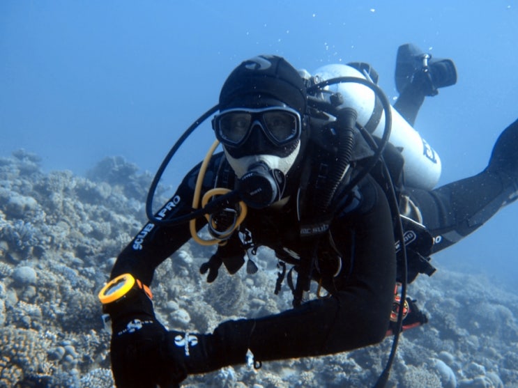 패디 24 스킬 | PADI 24 skills : 네이버 블로그