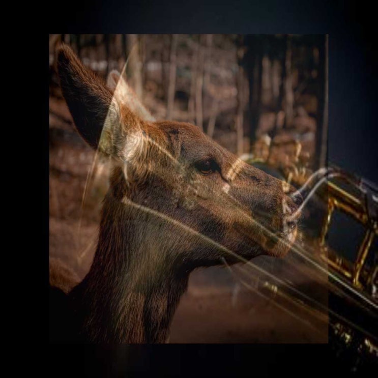 러시아 요리: 보르슈트와 블리니 특산품 : 네이버 블로그