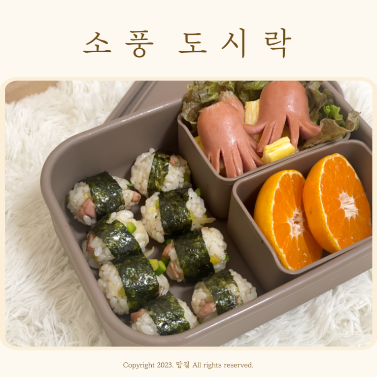 어린이집 아기 소풍 도시락 주먹밥 문어 소세지 계란말이 만들기 네이버 블로그