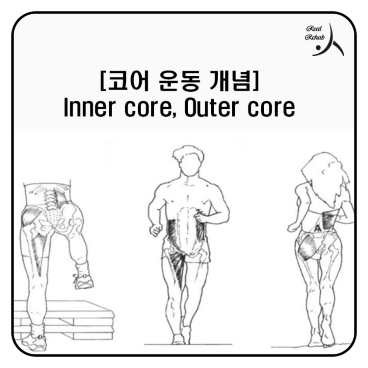 하하맞춤운동 [코어운동 개념] Inner core, Outer Core : 네이버 블로그