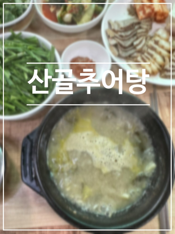 [진주] 찐찐찐 추어탕 맛집, 산골추어탕(진주추어탕맛집/진주내동면맛집/진주맛집/진주추어탕/내돈내산) : 네이버 블로그
