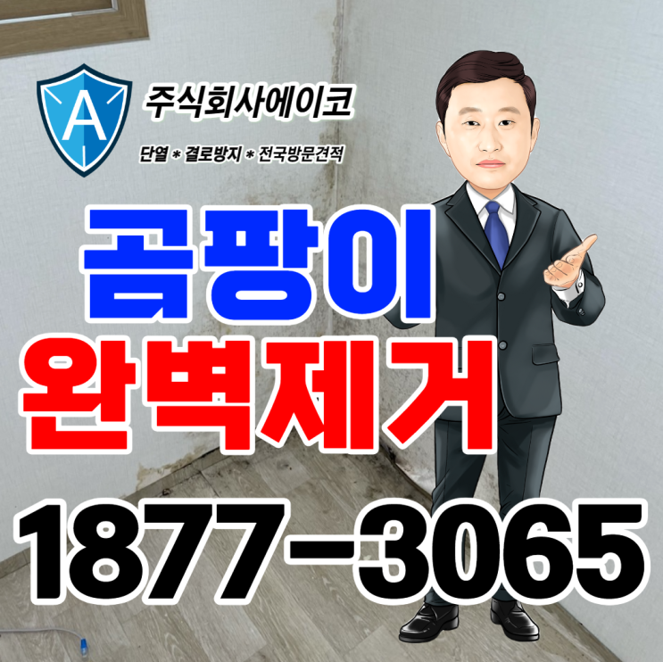수원곰팡이제거 의왕단열공사 군포시결로 업체 벽지 도배 네이버 블로그