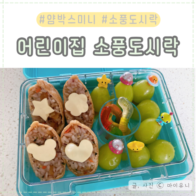 유치원 소풍 도시락 얌박스 미니 아기 유아 어린이집 초등 간식통 네이버 블로그