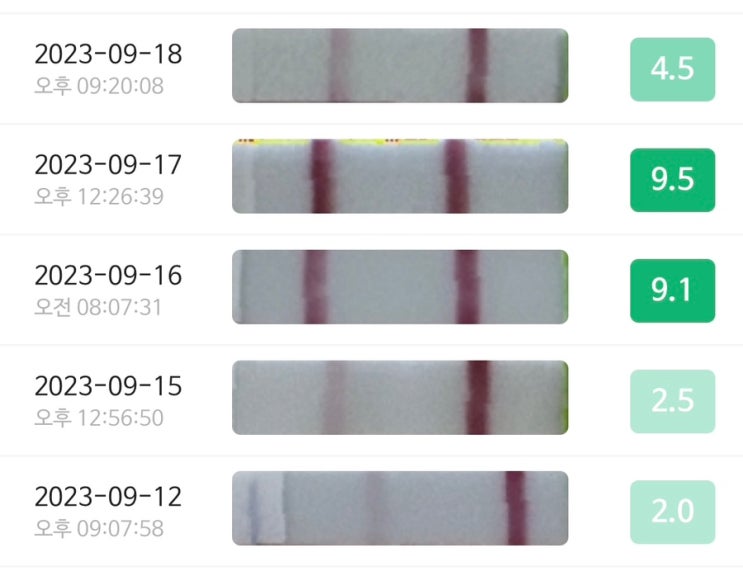 계획 임신 세번째 시도 칼배란 그리고 그런데 말입니다 : 네이버 블로그