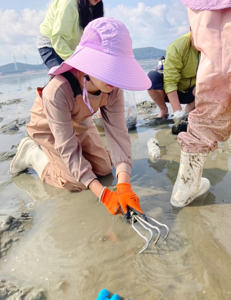 대부도 방아머리 해수욕장 갯벌 조개잡이 조개 캐기 무료 체험 대성공 Feat 주차 팁 칼국수 오션뷰 맛집 네이버 블로그