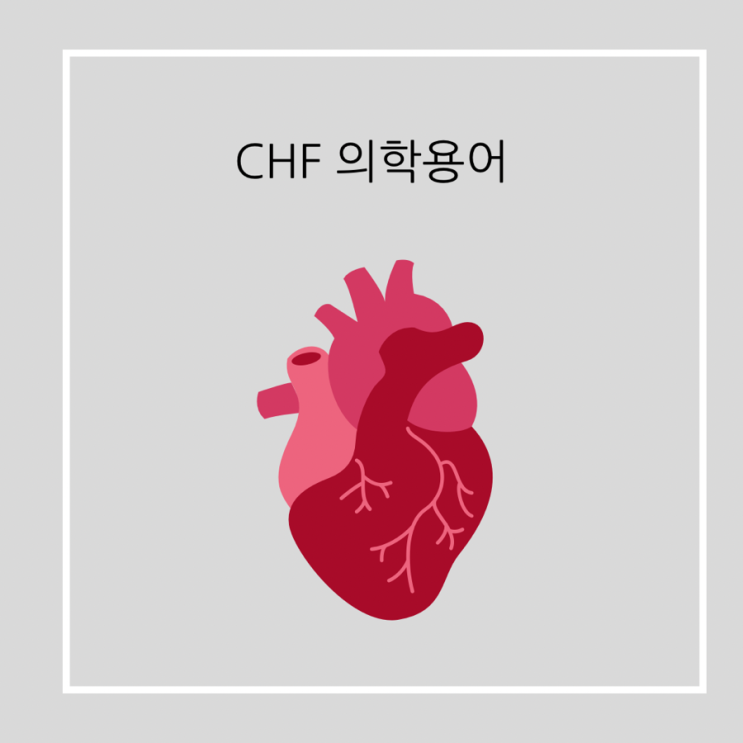 CHF 의학용어 , 울혈성 심부전 치료/증상/원인 알아가세요! ft, 심부전 예방 꿀팁 : 네이버 블로그