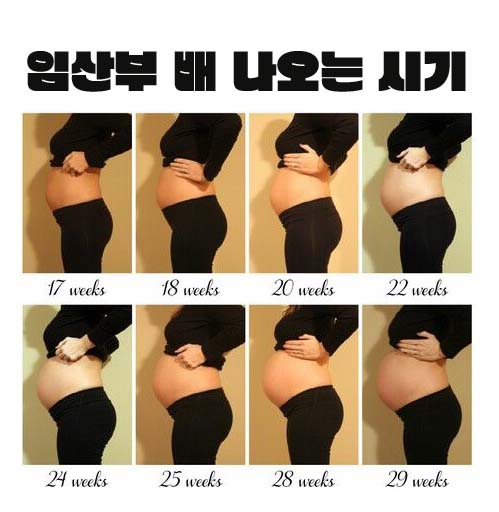 임신중기15주 16주 17주 18주 임산부 배나오는 시기 5개월 6개월 증상 네이버 블로그