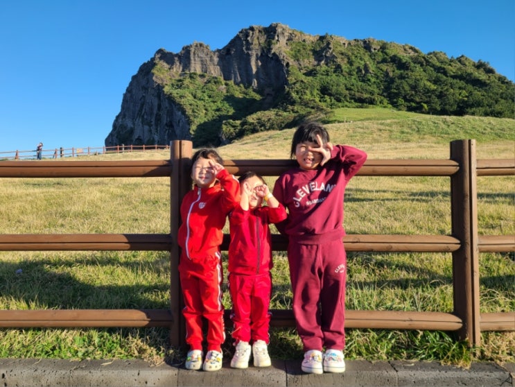 10월 아이랑 제주여행 아쿠아플라넷 갔다가 성산일출봉 등산까지 했어요 네이버 블로그
