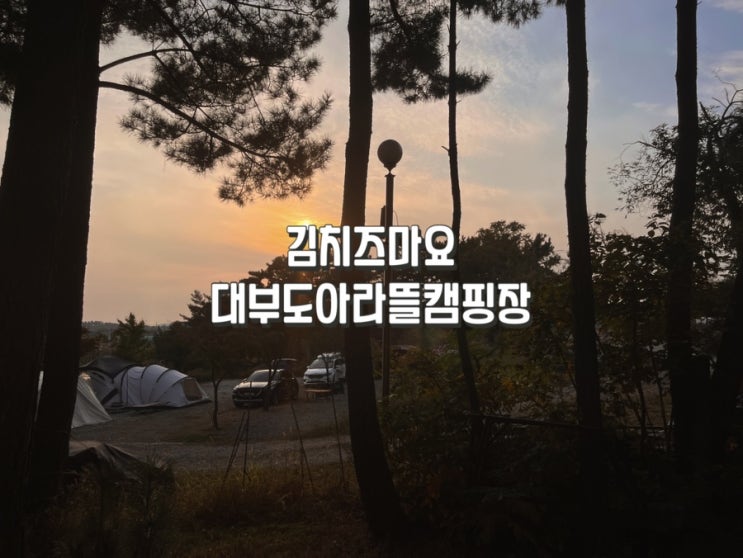 Camping 대부도 아라뜰캠핑장ft 노스피크 아케디아 맥스 도요토미 230 탄색 사이트 추천 아이들있는집 추천