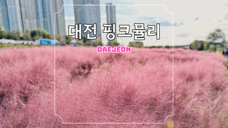 대전 핑크뮬리 명소 신탄진 로하스 산호빛공원 가을 나들이 네이버 블로그