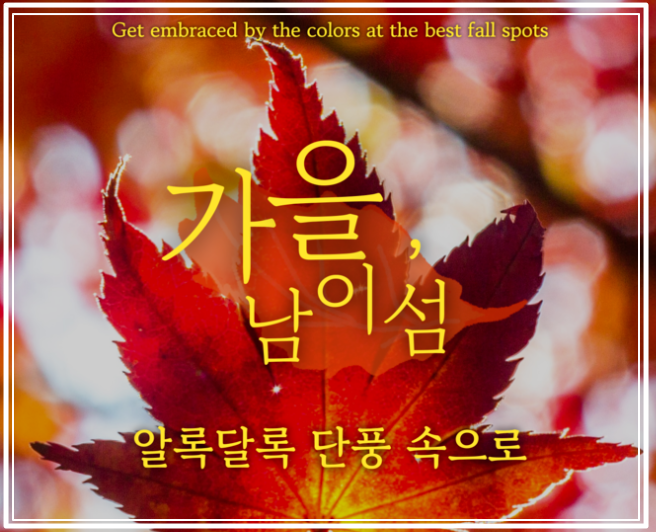 춘천 가을 단풍 여행 가평 춘천 남이섬 당일치기 편의시설 반려견 네이버 블로그