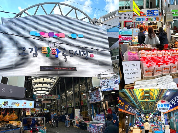 포항 죽도시장 먹거리 회포장 추천 공영주차장 정보 네이버 블로그