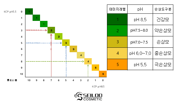 [세이루] KCP pH5.5 산성펌제를 활용한 시술 프로세스 - 극손상모 매직 시술 : 네이버 블로그