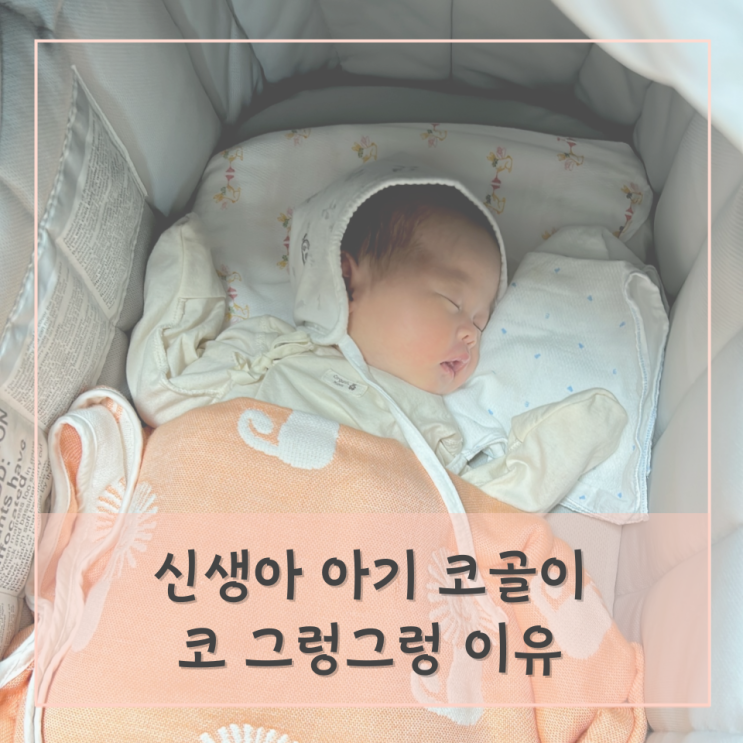 신생아 코골이 코고는 아기 코 그렁그렁 이유 네이버 블로그
