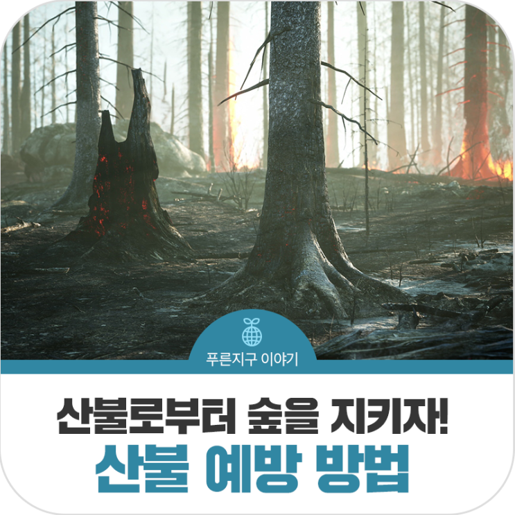 기후변화로 산불이 발생한다 산불로부터 산과 숲을 지키는 방법 네이버 블로그
