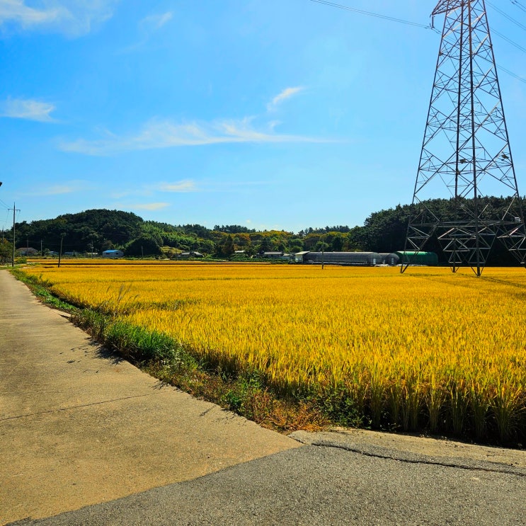 SSAT Upper Level의 시작 Writing Sample Intro : 네이버 블로그