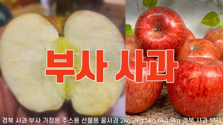 꿀이 뚝뚝 '93 부사 꿀사과 출하 시작, 완전히 맛이 들 때까지 기다린 보람이 있네요. : 네이버 블로그
