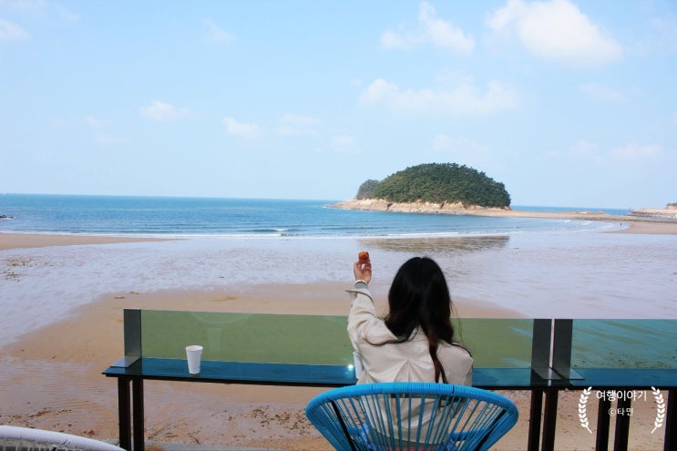 충남 태안 천리포 수목원 근처 만리포 해수욕장 오션뷰 애견카페 천만금 방문했어요 네이버 블로그