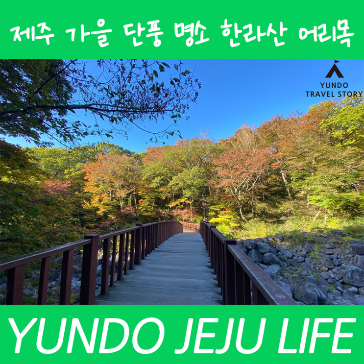 제주도 여행지 추천 가을 명소 제주 한라산 국립공원 등산 어리목코스 네이버 블로그