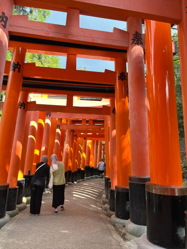 3박 4일 교토 여행, 2일차 % 아라비카 카페, 아라시야마 치쿠린, 후시미 이나리 신사, 카츠쿠라, 쇼핑 : 네이버 블로그