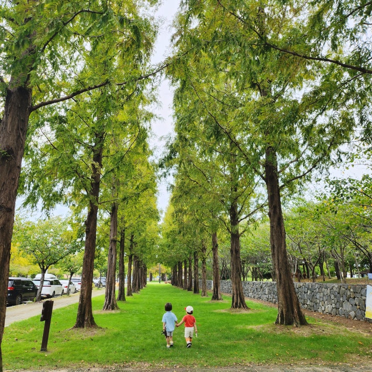 부산 아이랑 가볼만한 곳 아기랑 피크닉 놀이터 그리고 문화체험 모든것이 가능한 명지 근린공원 네이버 블로그