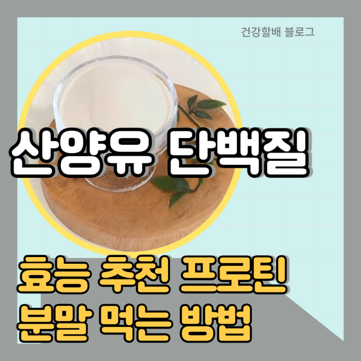 산양유 단백질의 효능 추천 프로틴 분말 먹는 방법 네이버 블로그