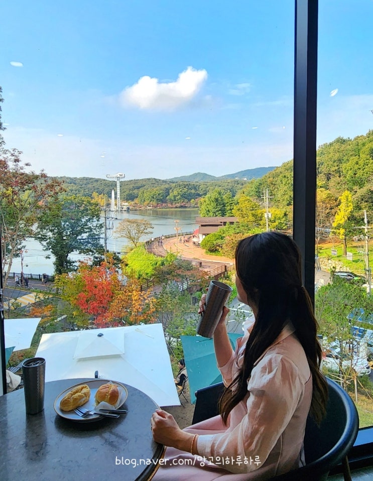 성남 분당 나폴레옹과자점 율동공원 호수뷰 대형 베이커리 카페 네이버 블로그